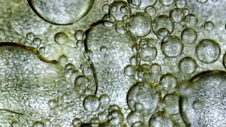 Video: Slow motion of transparent bubbles that look like body cells A ...