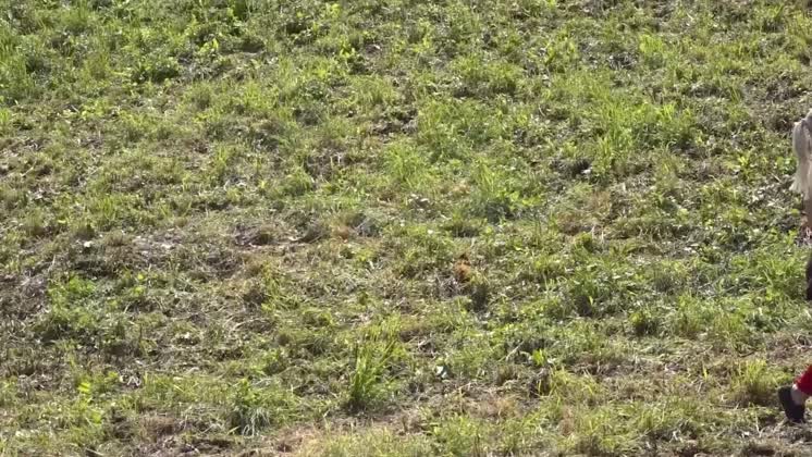 Video: UK: IShowSpeed takes part in cheese rolling contest in England ...